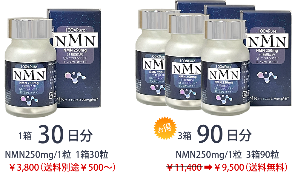 NMNサプリメント ジャストザベリーズジャパン | 健康と美肌に細胞レベルでアプローチ